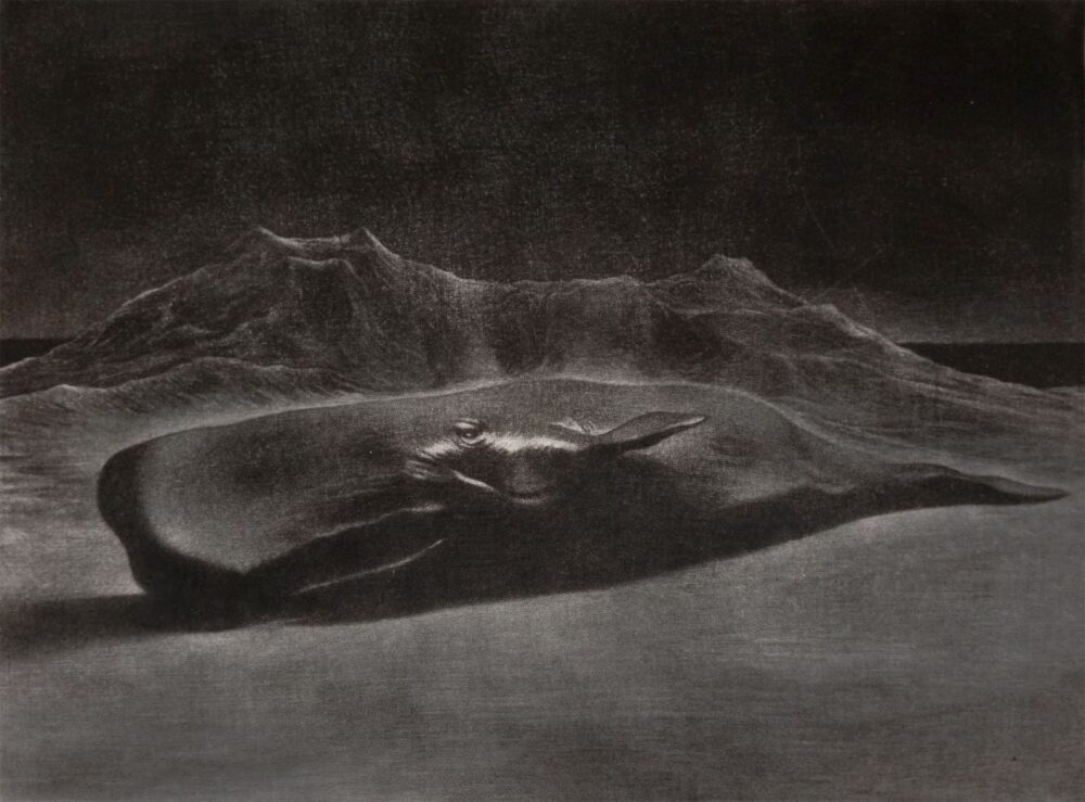 2025/05/09 - Luca De Maria vince il "Premio Ilaria Ciardi 2025 ...